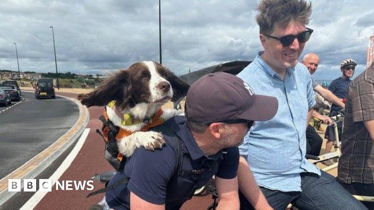 Tynemouth to Whitley Bay cycle and pedestrian lane section opens - BBC News