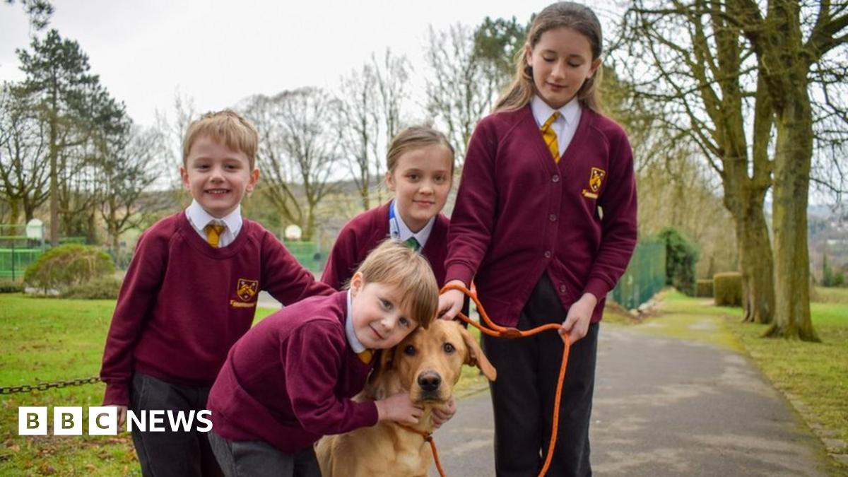 Matlock school dog supports pupils in mental health week - BBC News