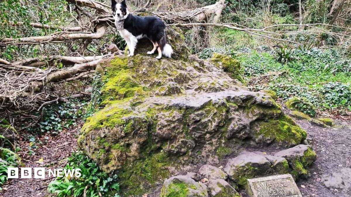 Isle of Wight Wishing Seat survives Ventnor landslip - BBC News
