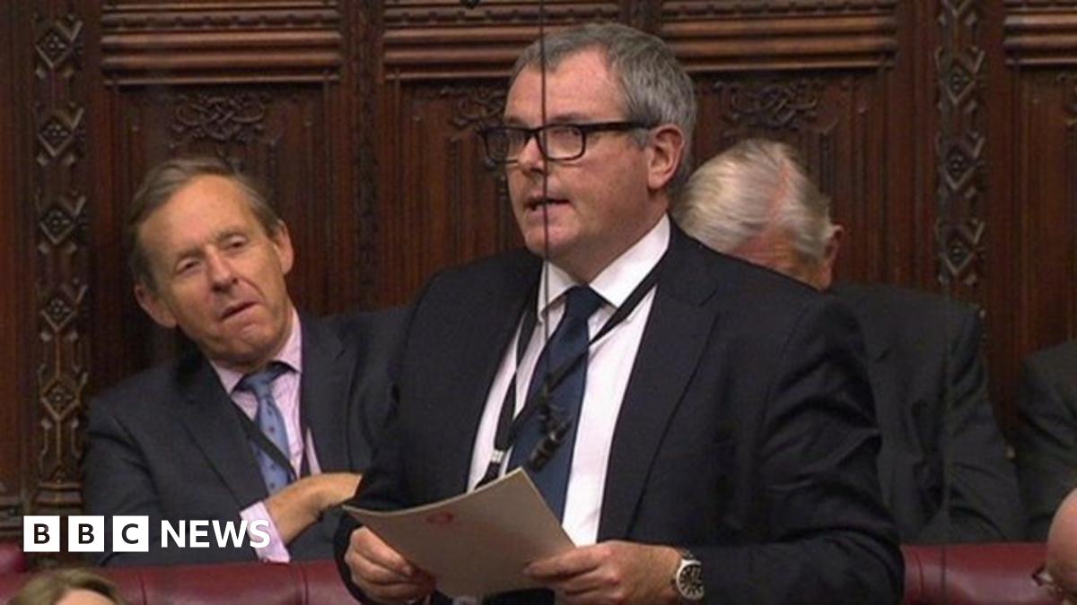 New peer mounts defence of politics as public service - BBC News