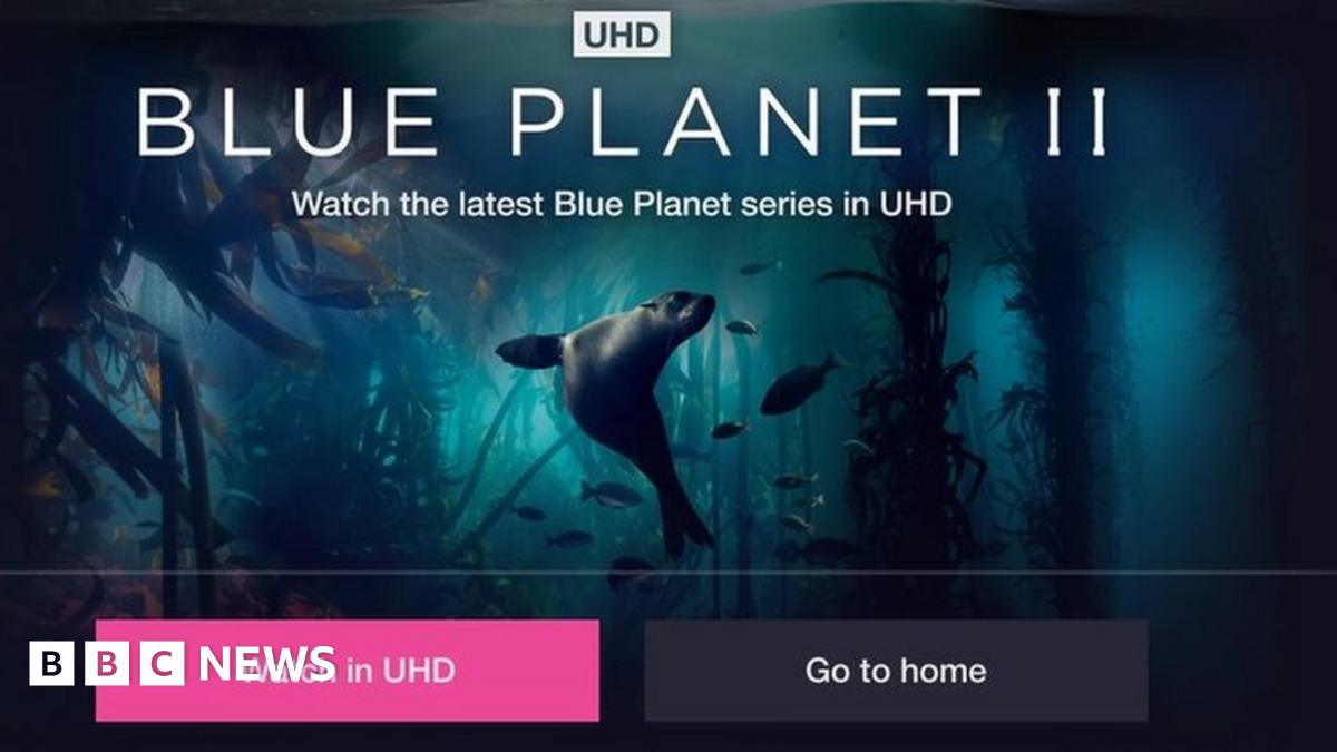 Blue Planet II comes to iPlayer in 4K HDR - BBC News