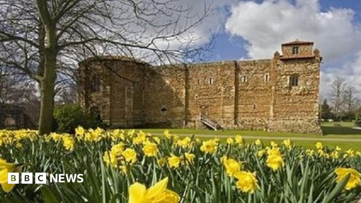 Colchester in bid to become city for fourth time - BBC News