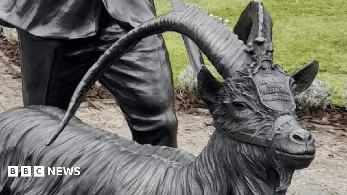 Wrexham: Royal Welch Fusilier and goat sculpture unveiled - BBC News
