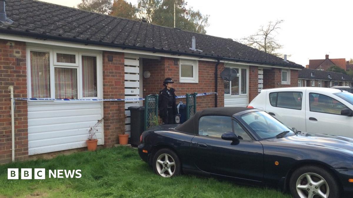 Godalming man sectioned for stabbing mum to death - BBC News