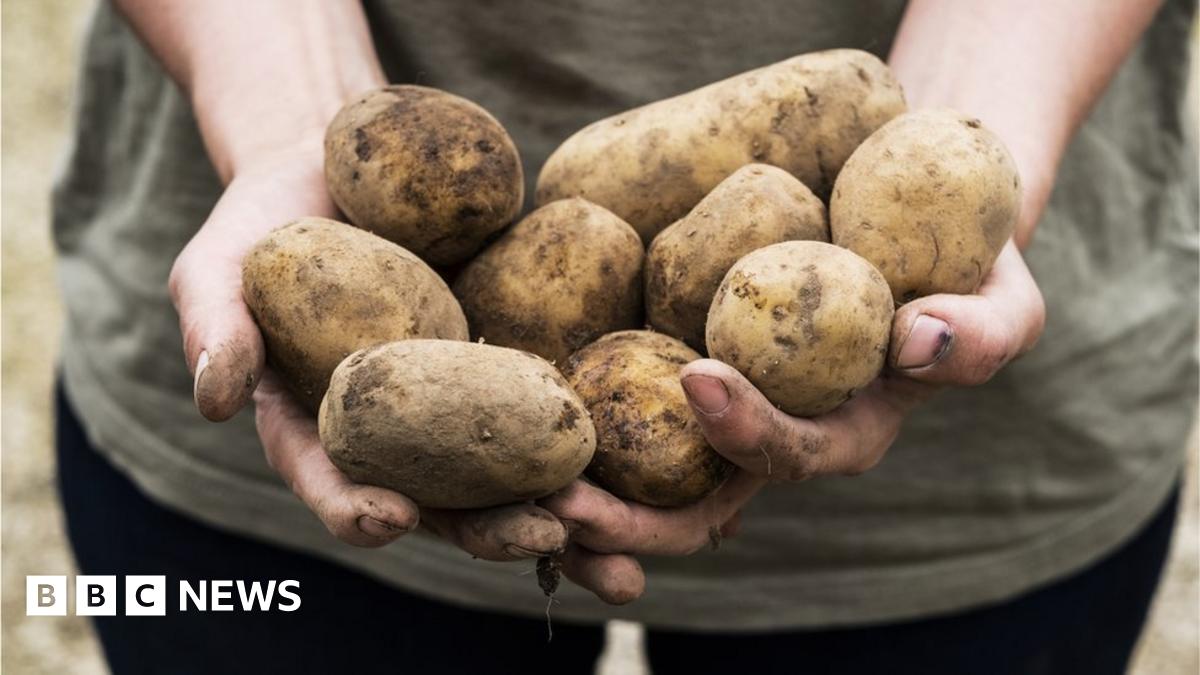 Climate change: Are potatoes being put at risk by warmer weather? - BBC ...