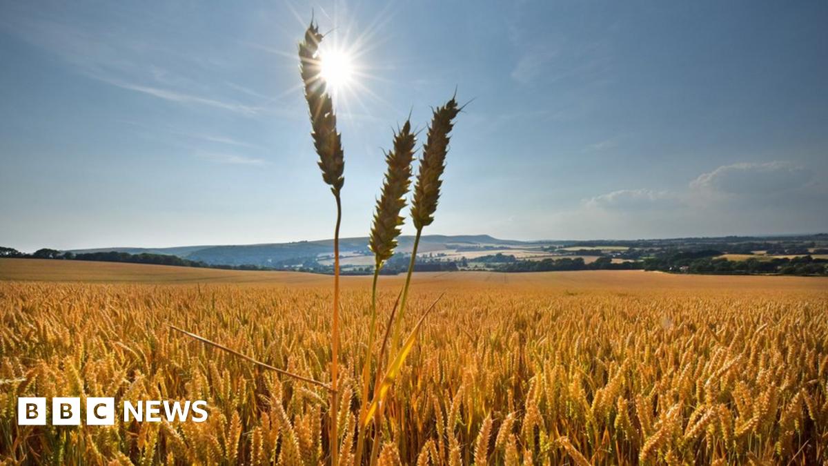 Climate policies 'will transform UK landscape' - BBC News