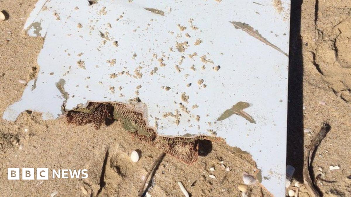 MH370: BBC reader finds possible debris in Mozambique - BBC News