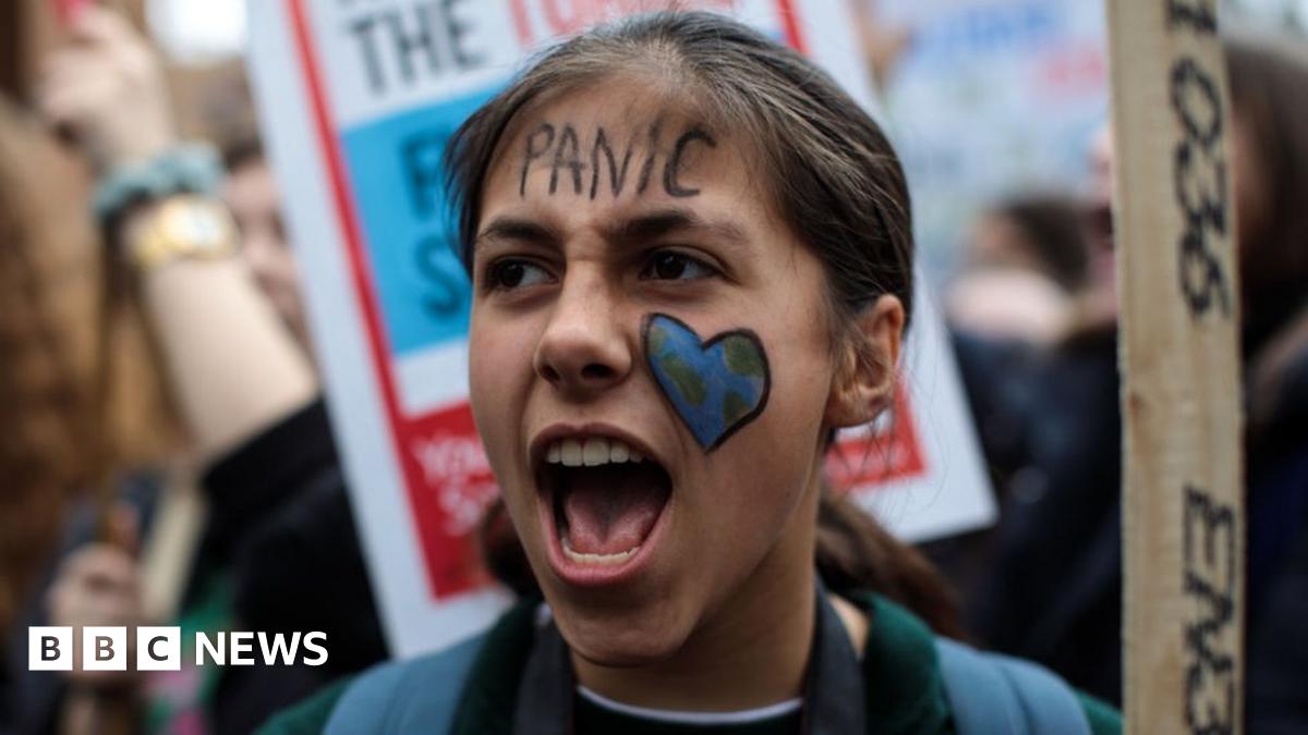 Climate change: Answers to your most asked questions - BBC News