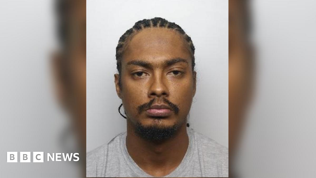 Sheffield man jailed over cleaver attack on woman and girl - BBC News