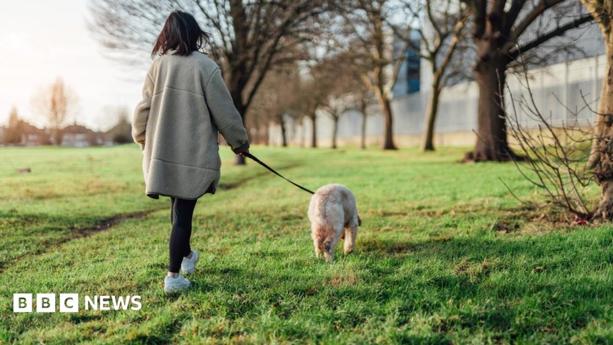 Worcester farm expanding to dog walkers to remain viable - BBC News