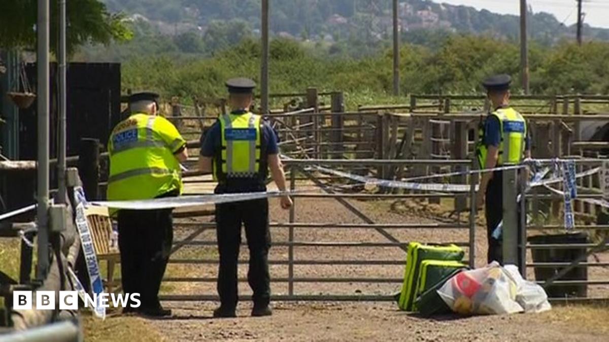 Woman killed near Pitsea horse sanctuary: Man on murder charge - BBC News