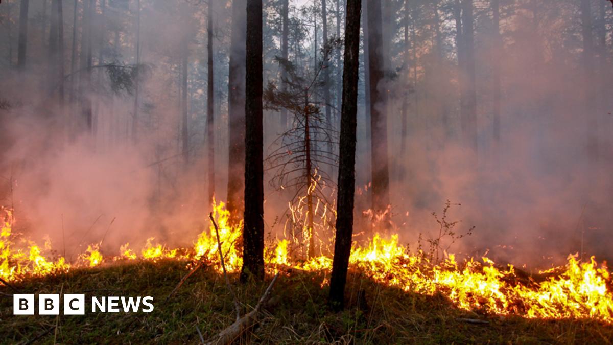 Arctic wildfires: How bad are they and what caused them? - BBC News