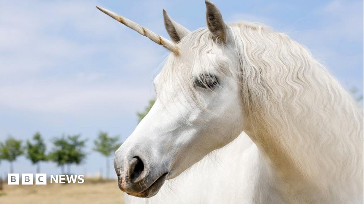 A billion dollar bet: The difficulty of leading a 'unicorn firm' - BBC News