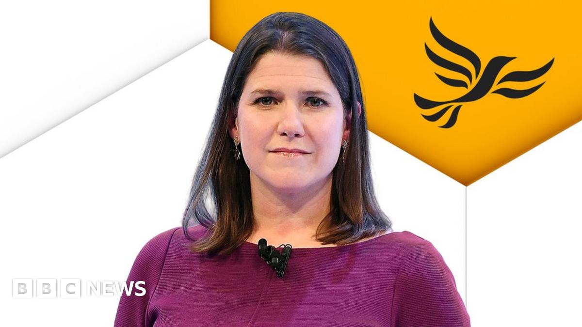 Liberal Democrat manifesto 2019: 12 key policies explained - BBC News
