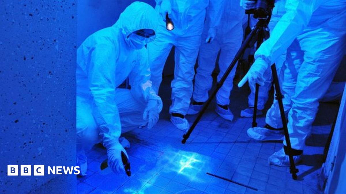 Forensic test pins down 'time of death' - BBC News