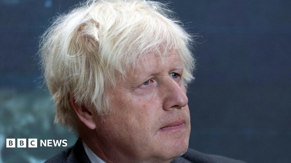 Boris Johnson given green light to build swimming pool - BBC News