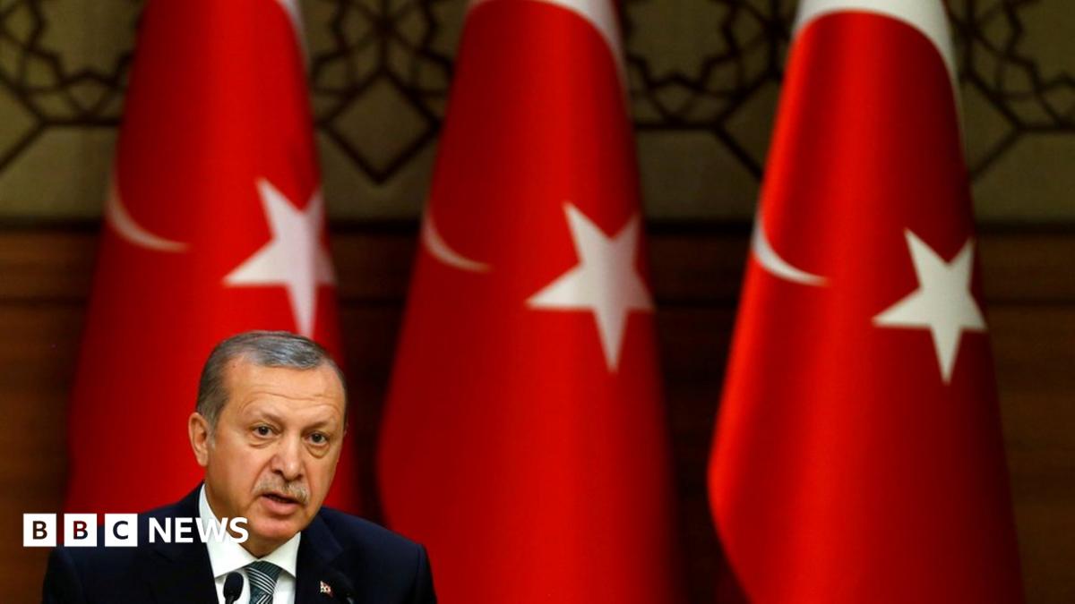 Turkey's Erdogan to drop lawsuits against people who insulted him - BBC ...