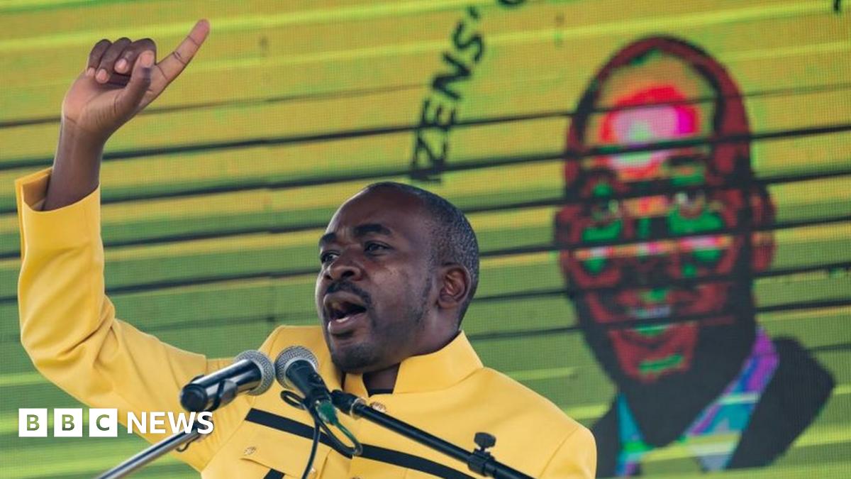 Nelson Chamisa: Zimbabwe opposition CCC leader quits 'contaminated ...