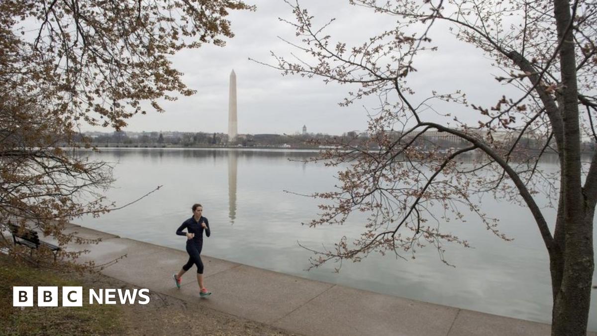 From catcalls to murder: What female joggers face on every run - BBC News