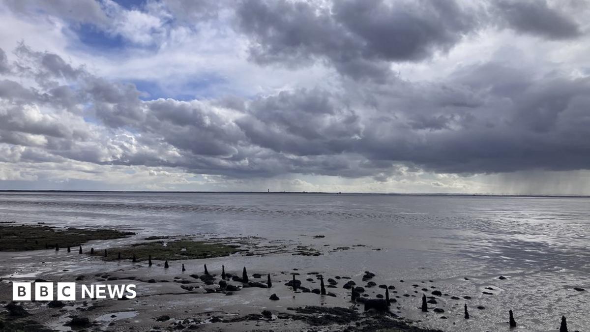 River Humber searched for man who fell overboard from cargo ship - BBC News