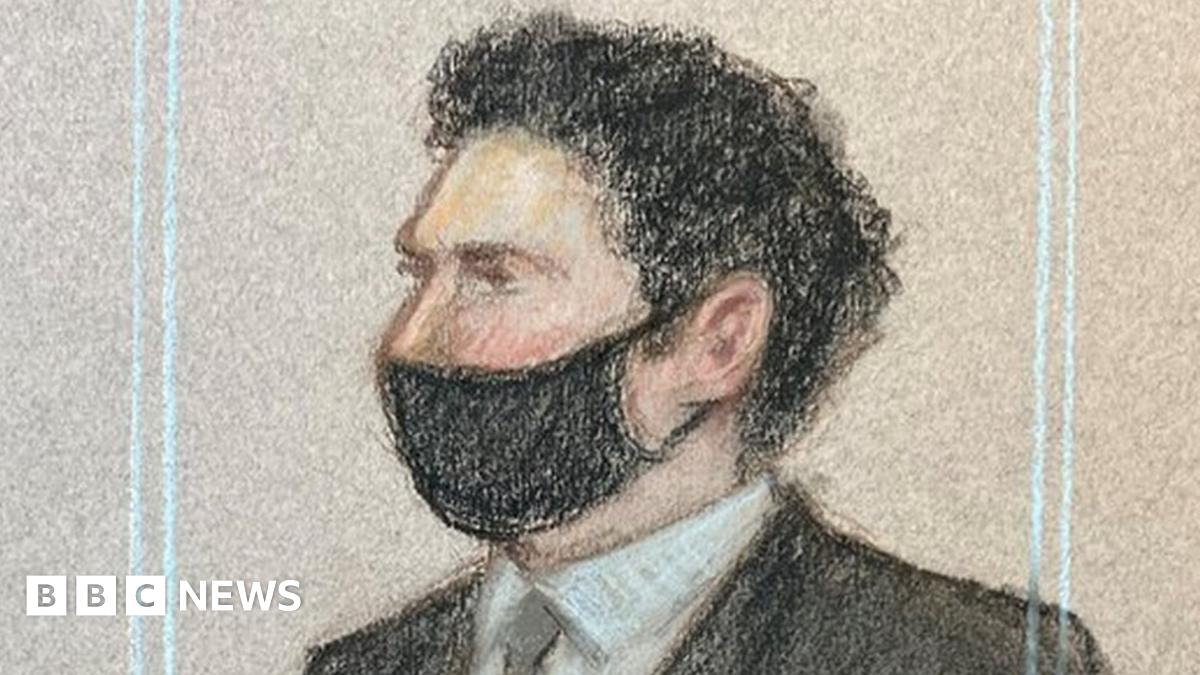 Met Police officer David Carrick charged with 21 rapes to face trial ...