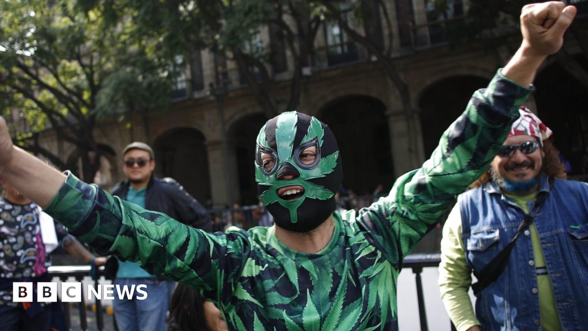 Mexican marijuana activists on a high after Supreme Court ruling - BBC News