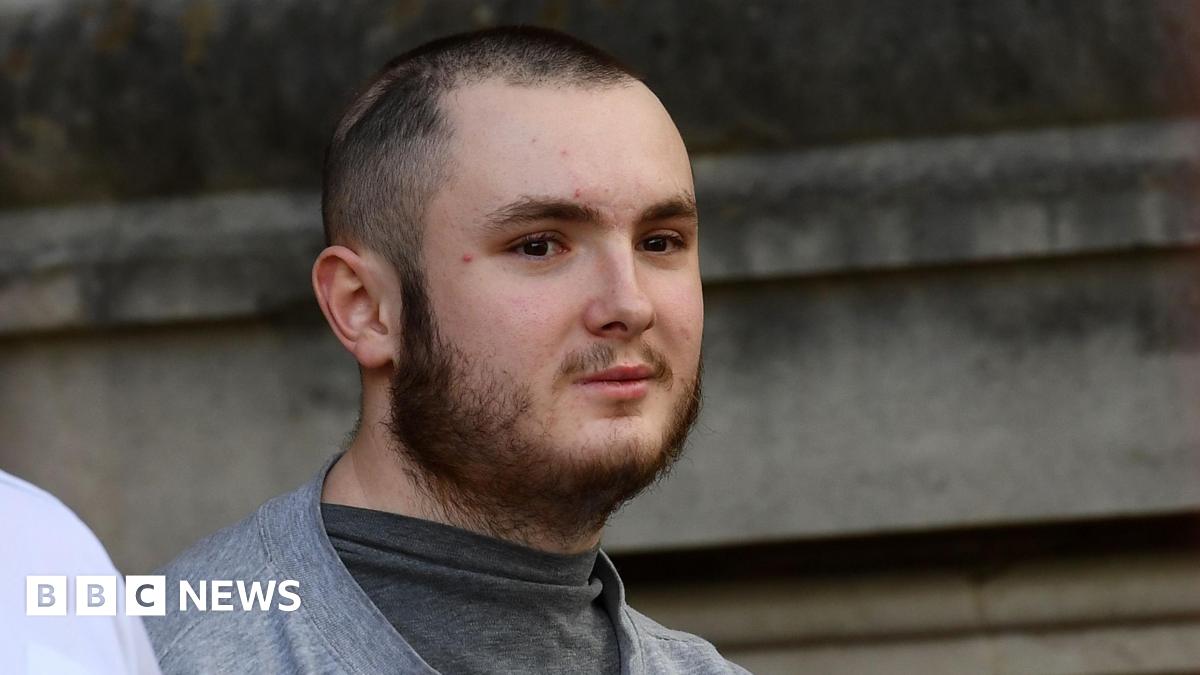 Hartson: Former footballer's son jailed after attacking woman - BBC News