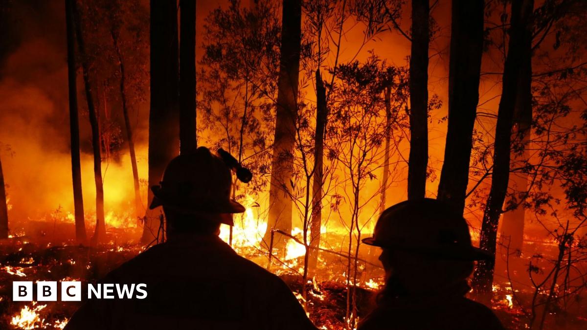 Australia fires: How the world has responded to the crisis - BBC News