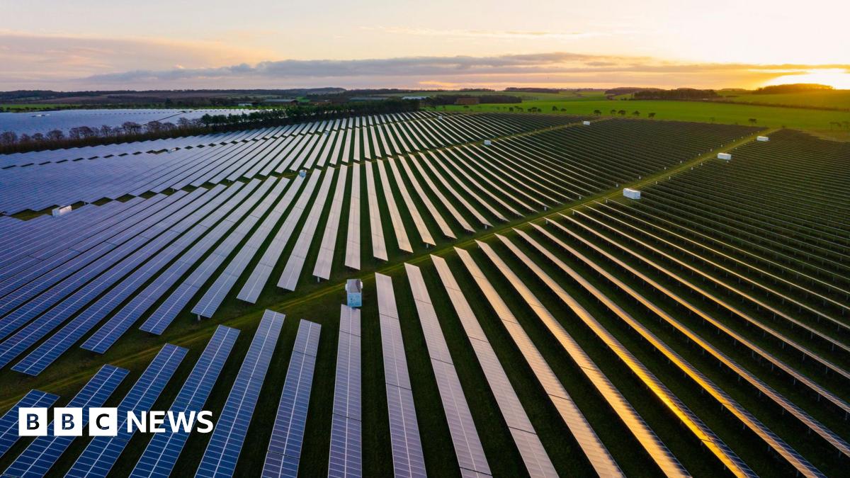 Campaigners to challenge Selby solar farm plans in High Court - BBC News
