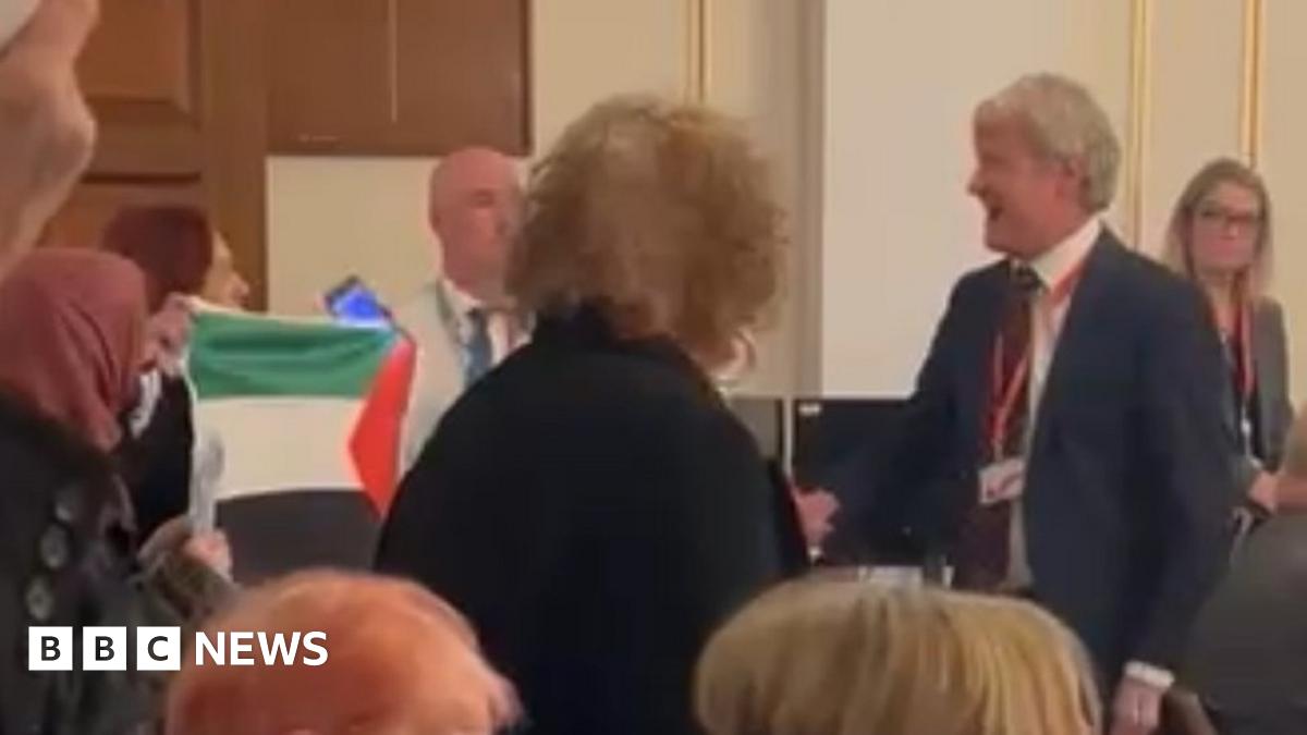 Chorley councillor allegedly pushes Gaza protester - BBC News