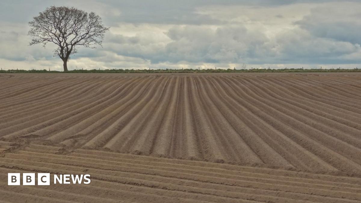 England's Big Picture: 3 - 9 May - BBC News