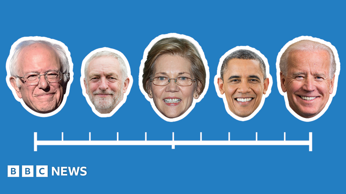 US election: How left-wing is the Democratic field? - BBC News