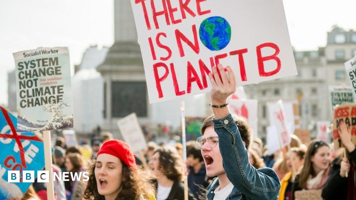 Push to ensure pupils are 'politically literate' - BBC News