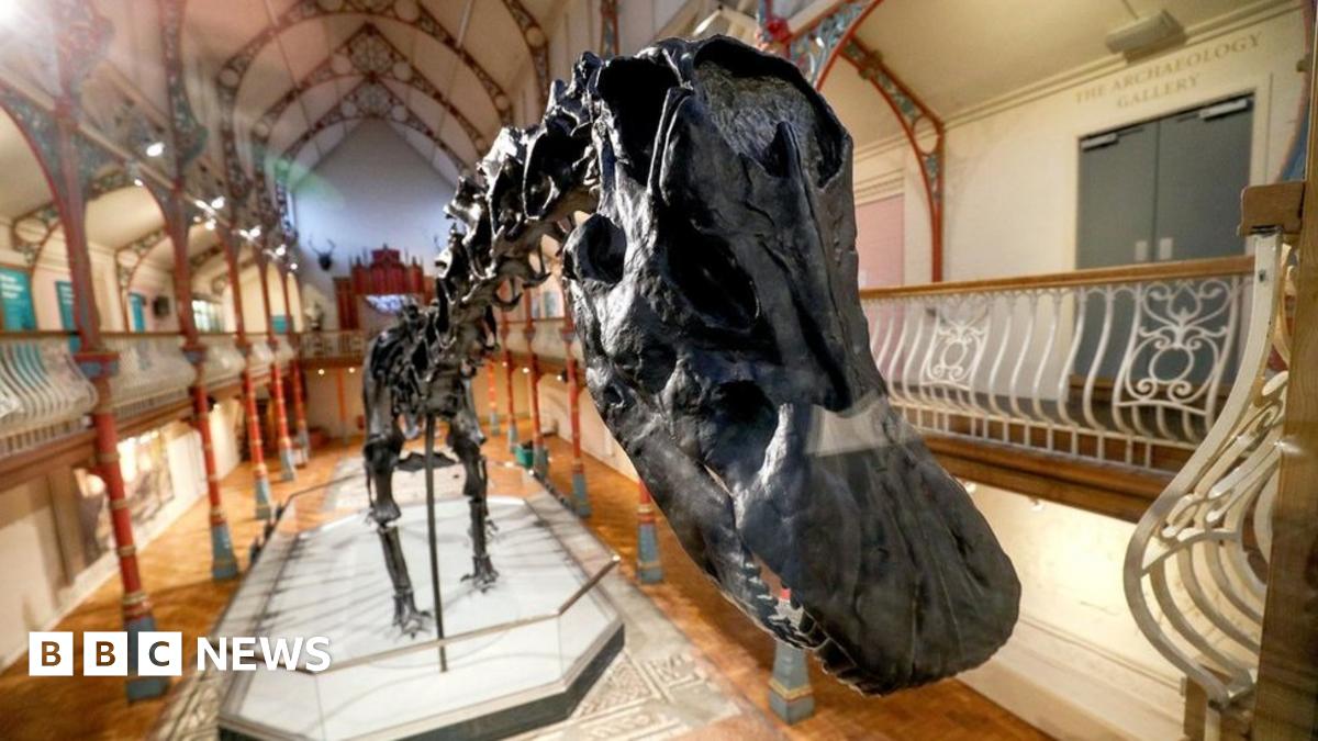 Dippy the dinosaur set to return to Natural History Museum - BBC News