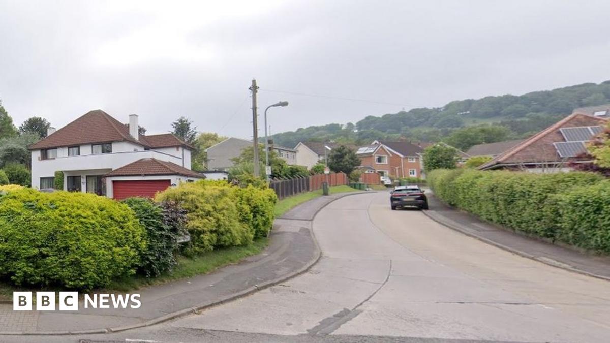 Cardiff parked cars hit 'deliberately' by stolen van - BBC News