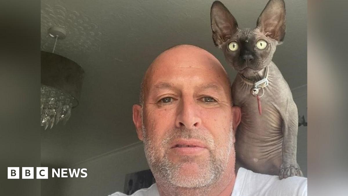 Man seriously hurt after tripping over pet kitten 'has nine lives ...