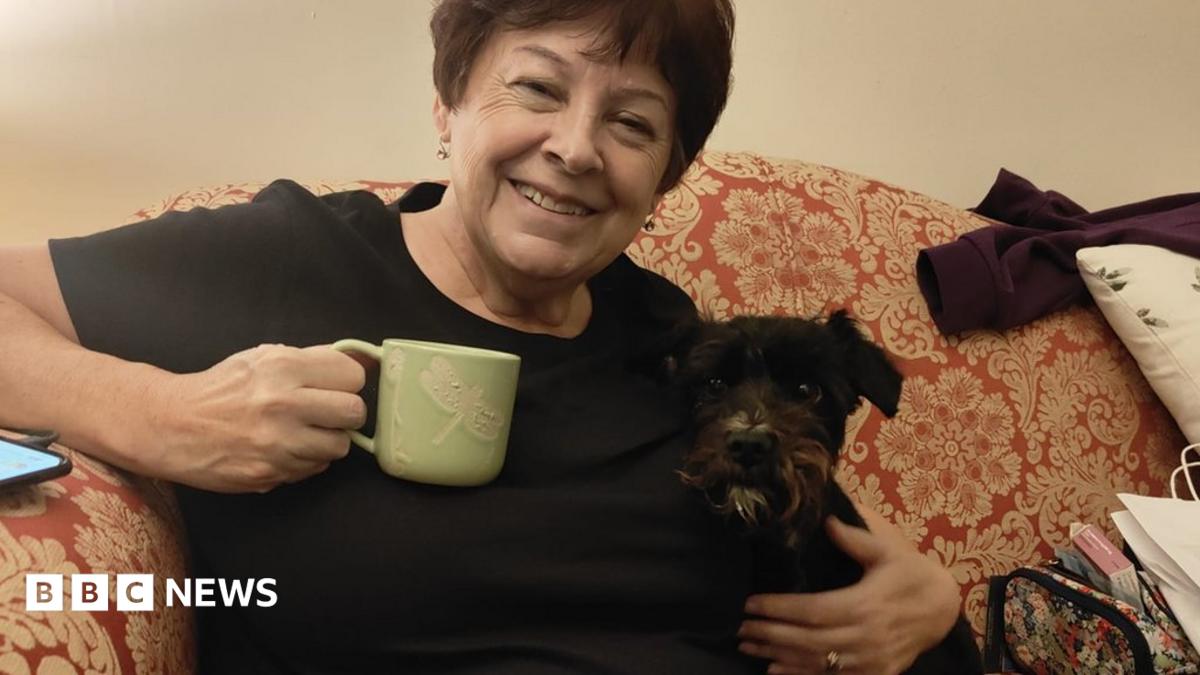 Bran the dog safely back home after journey in stolen van - BBC News