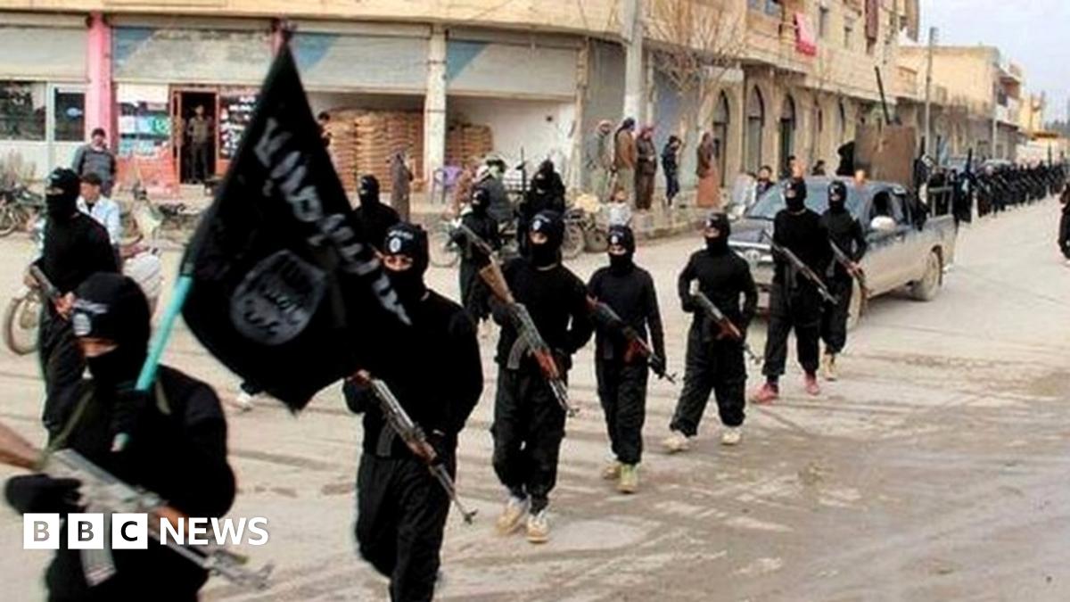 Syria air strikes: What you need to know - BBC News