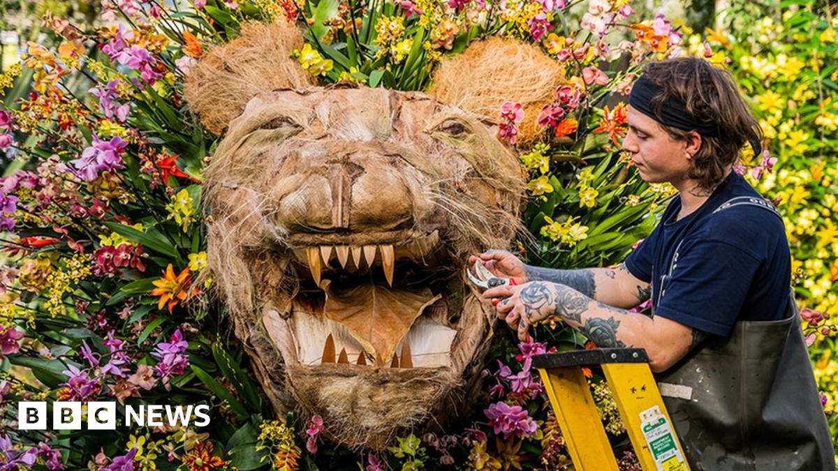 Week in pictures: 28 January - 3 February 2023 - BBC News