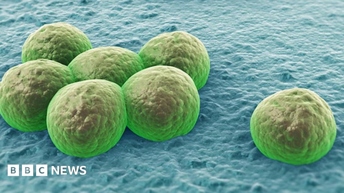 Global pledge to stamp out drug-resistant infections - BBC News