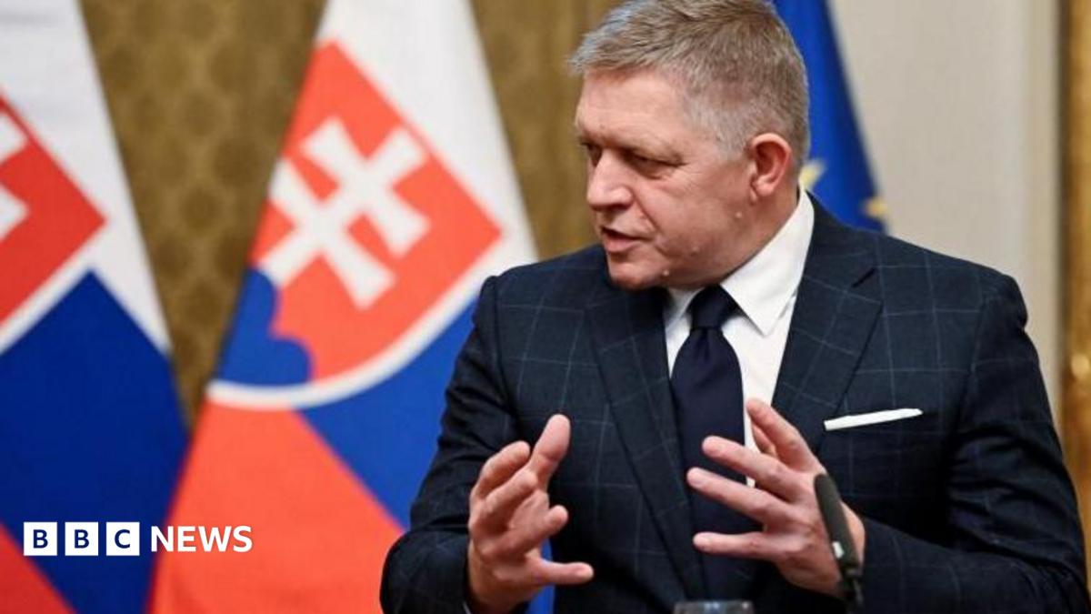 Slovak PM Fico accuses opposition of trying to topple him Ukraine-style ...
