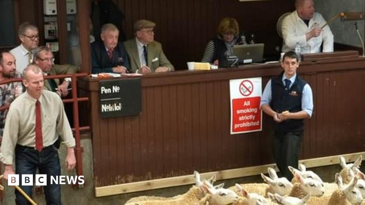 Deal secures Longtown and Dumfries auction marts' futures - BBC News
