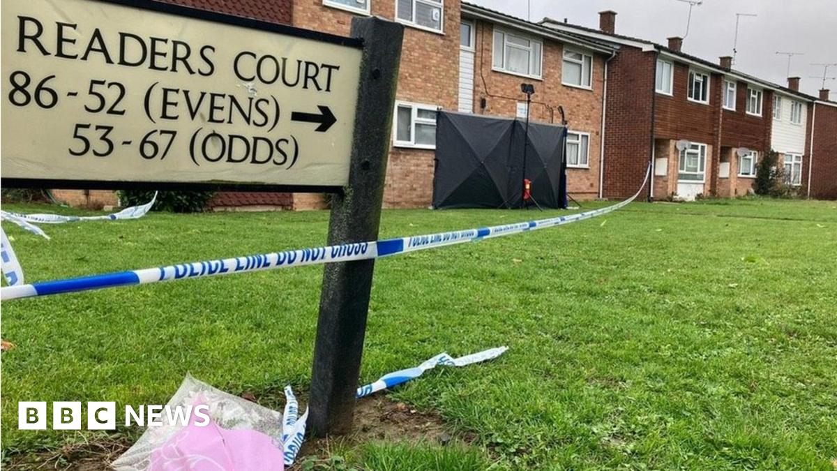 Man charged with murder after woman dies in Great Baddow - BBC News