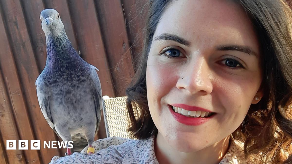 Grieving pigeon lover vows to help other birds - BBC News