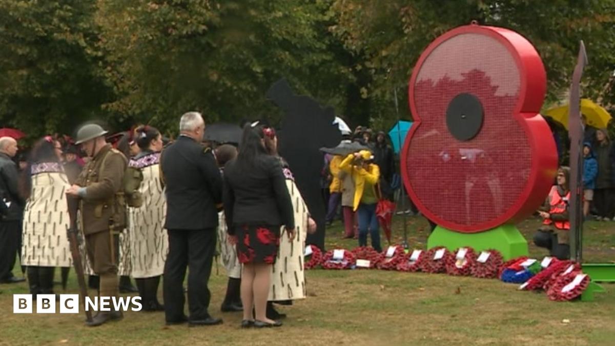 Giant WW1 poppy memorial unveiled in Wincanton - BBC News
