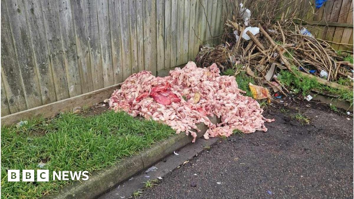 Luton: Residents disgusted after raw meat dumped on road - BBC News