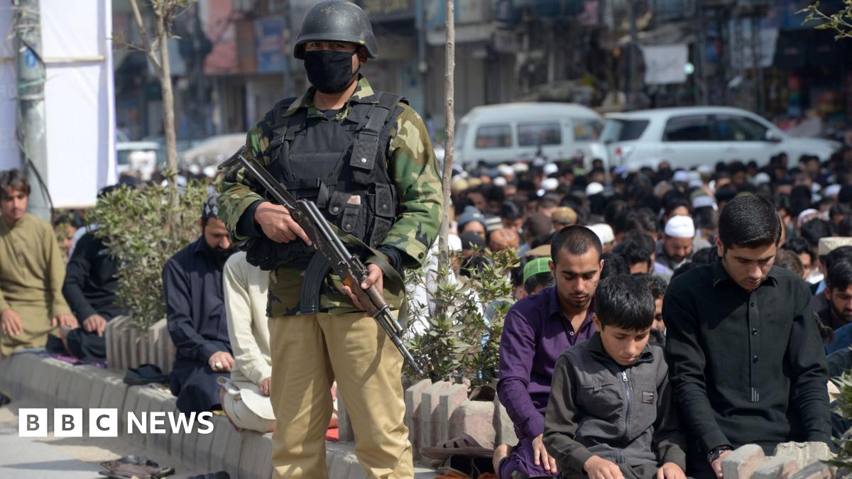 Pakistan 'kills 100 militants' after Sufi shrine attack - BBC News