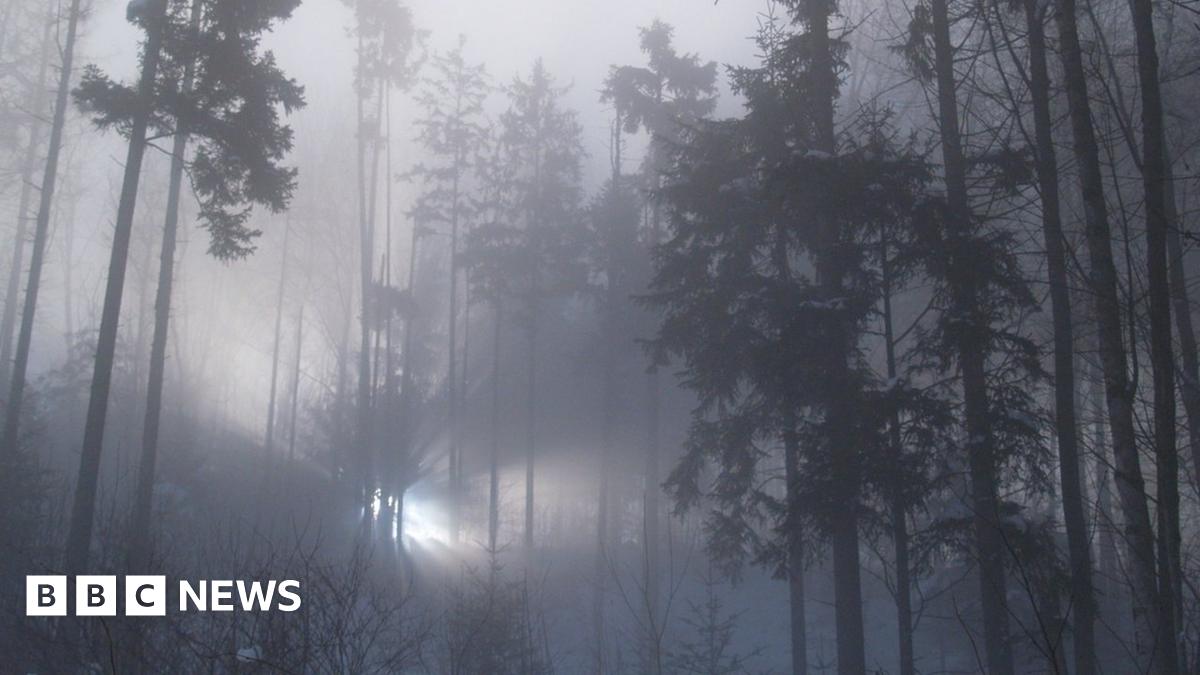 Rendlesham Forest UFO: Are we any closer to the truth 40 years on ...