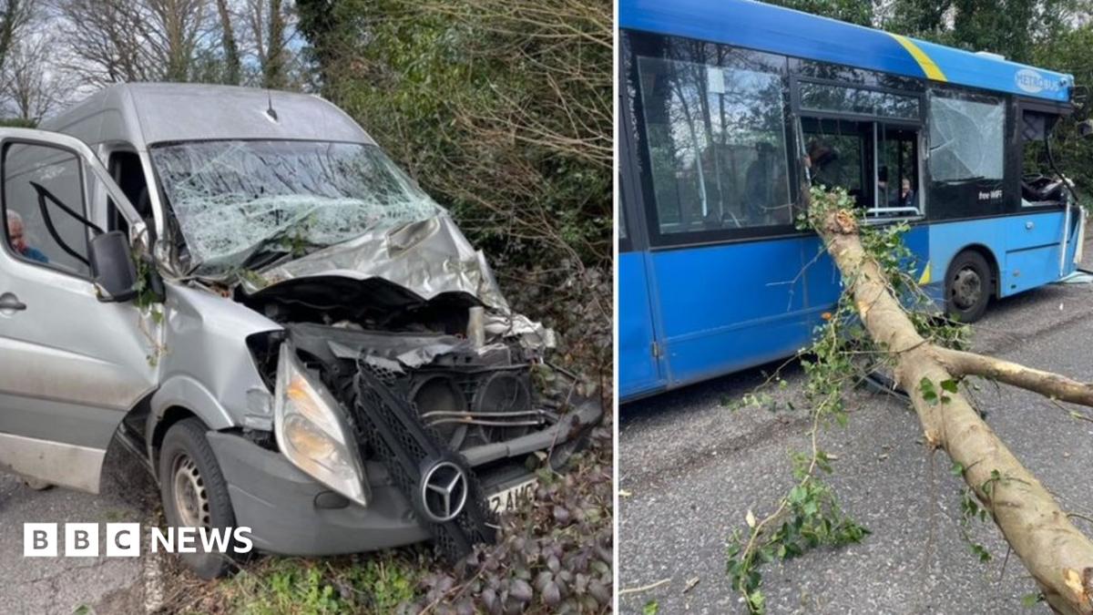 Horsham: Man speaks of horror after tree falls on bus and van - BBC News