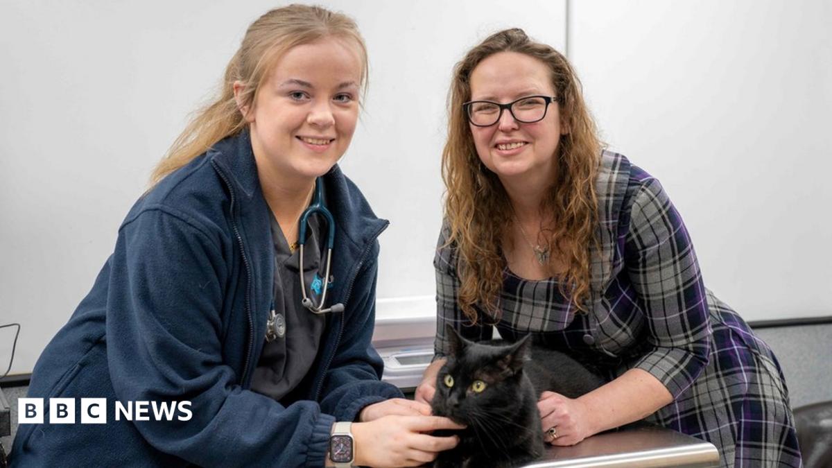 Doncaster vet reunites cat missing for four years with owners - BBC News